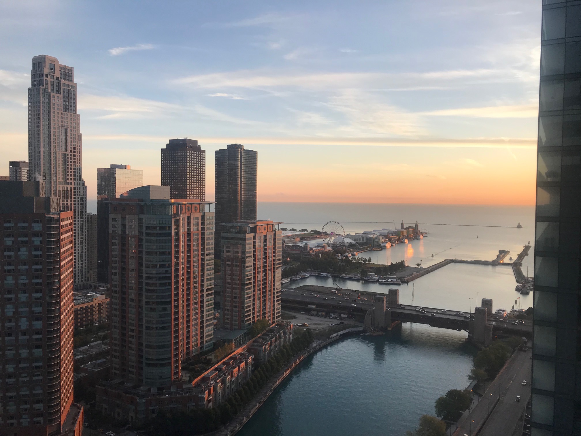 Final Program - International Society for Developmental Psychobiology ...